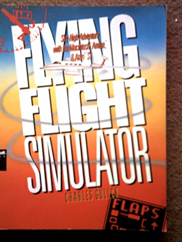 Flying Flight Simulator – Pigeonhouse Books, Dublin