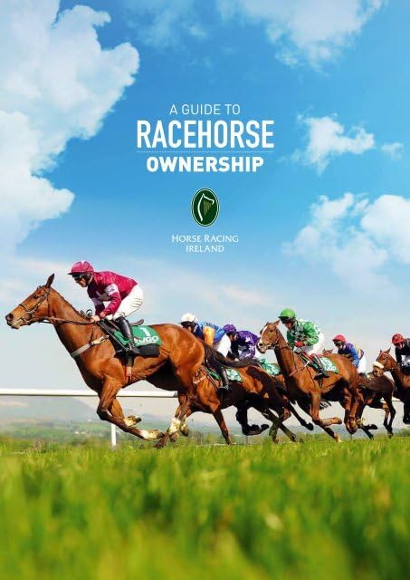 A Guide to Racehorse Ownership - Horse Racing Ireland – Pigeonhouse ...